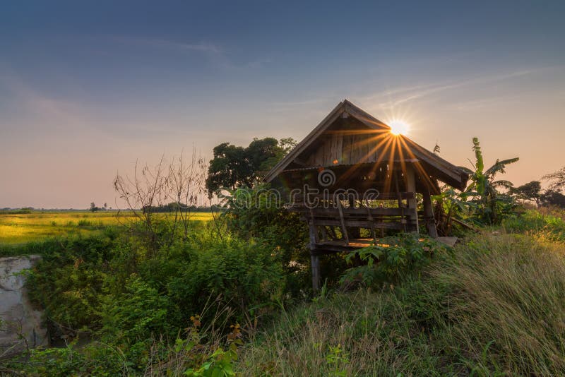 Wooden Cottage In Field At Sunset Picture. Image: 82964238
