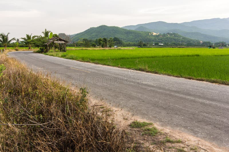 Old Cottage in the Rice Fields with Mountain Stock Photo - Image of ...