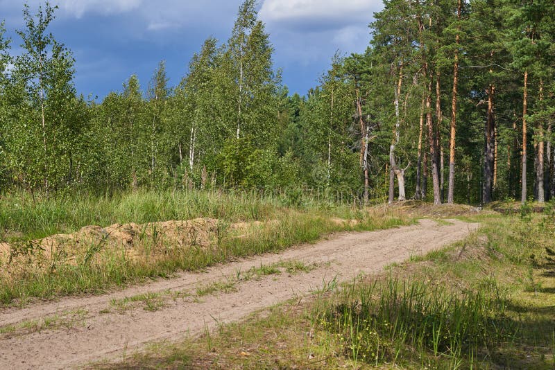 Old Country Dirt Road in the Middle of the Forest Stock Image - Image ...