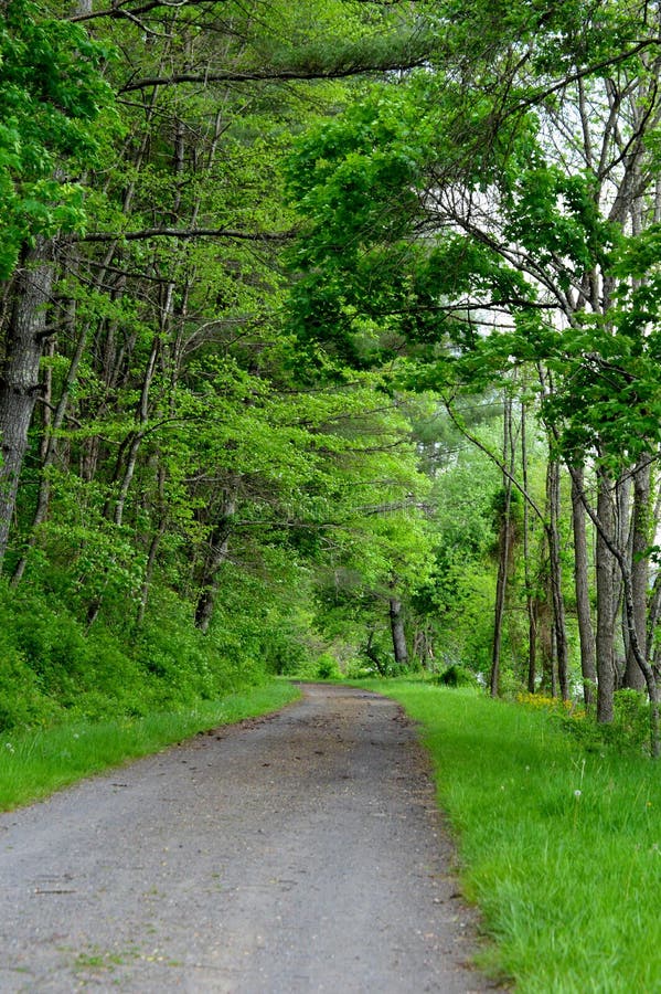 Old Country Road stock photo. Image of dirt, road, fries - 40537996