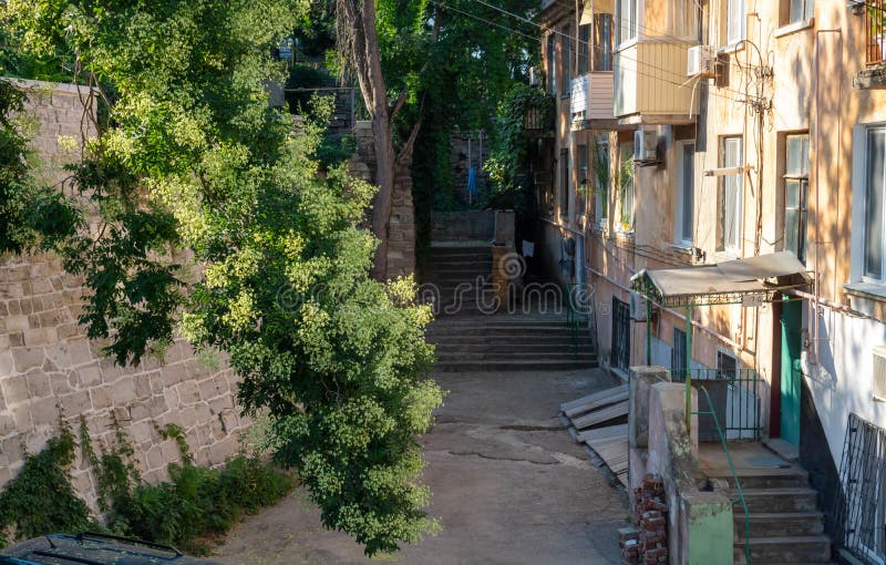 An Old Courtyard with Stairs and a Flowering Tree Stock Photo - Image ...