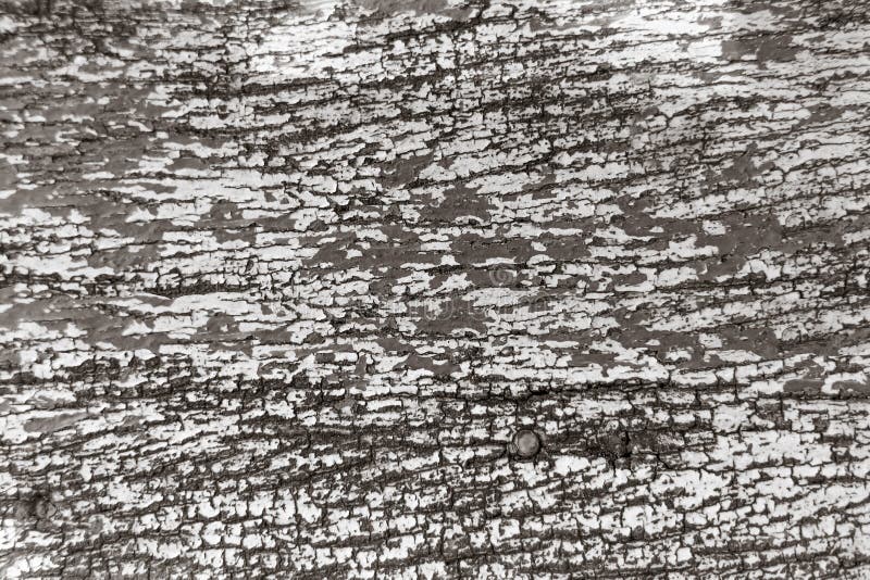 Old Crack Paint Wood Texture Stock Photo - Image of desk, monochrome ...