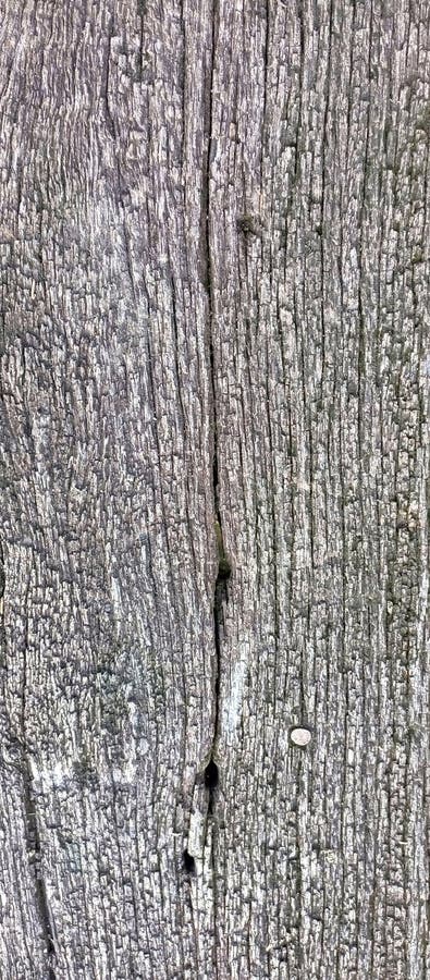 Ulin Stock Photos - Free & Royalty-Free Stock Photos from Dreamstime