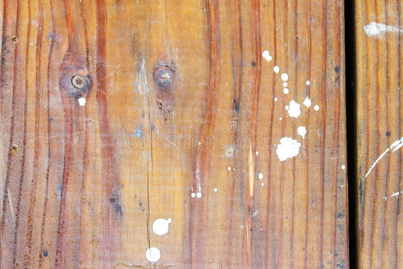 Splattered Paint on Canvas stock photo. Image of mess - 18192342