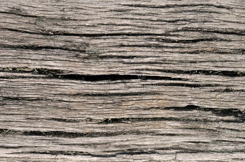 Old cracked wood texture stock photo. Image of life, grain - 13923326