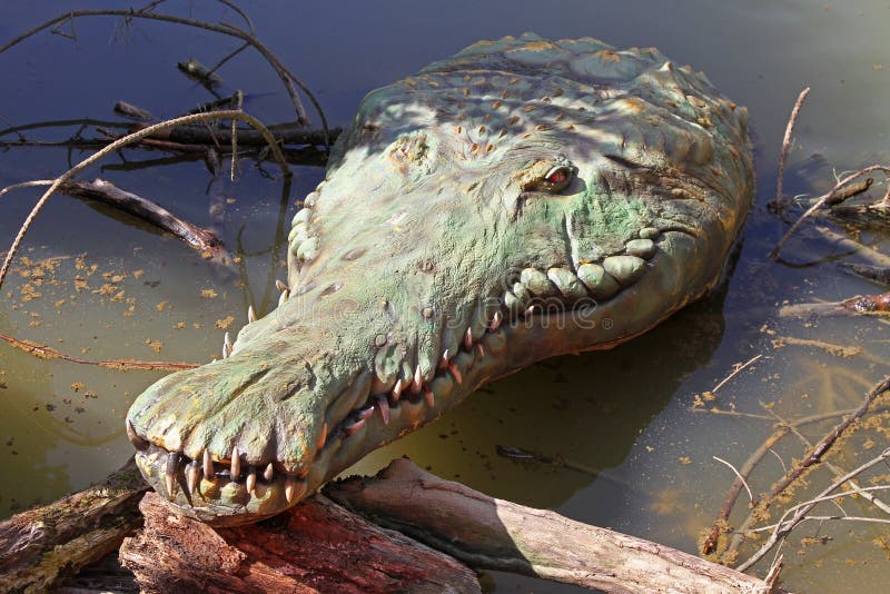 Old crocodile stock image. Image of floating, skin, reptile - 33299933