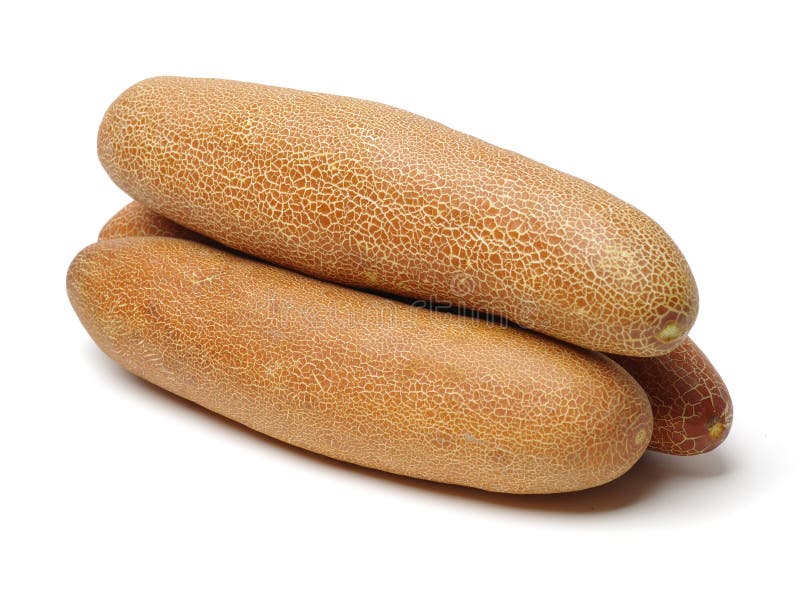 Old cucumber stock image. Image of culture, obsolete - 115301543