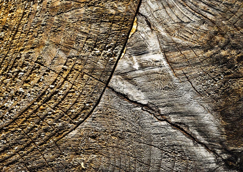 Old Cut Abstract Wood Texture Stock Image - Image of detail, material ...