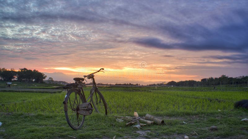 Old cycle stock photo. Image of nature, sunrise, morning - 102188512