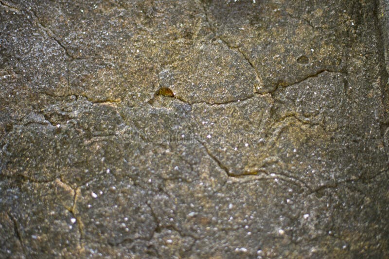 Old Damaged Concrete Wall, Corroded, Ruptured Surface Stock Photo ...