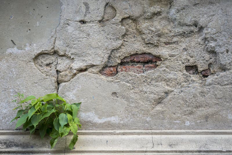 Old damaged concrete wall stock image. Image of broken - 58337209
