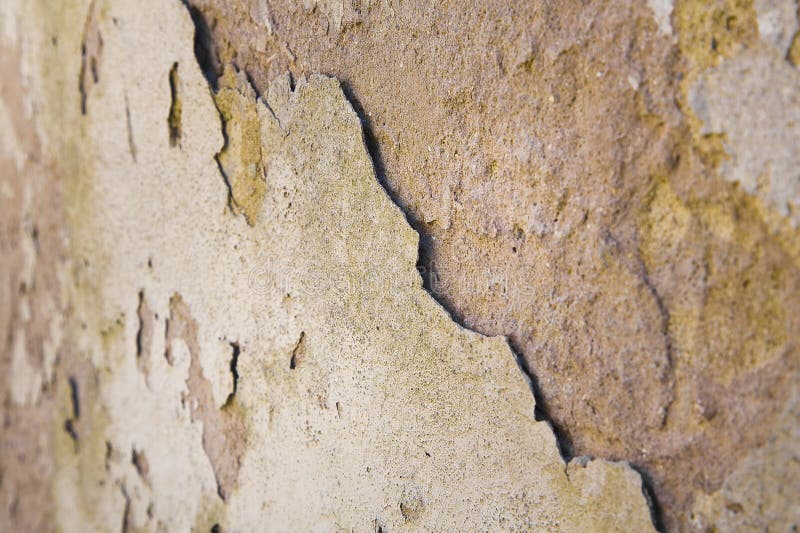 Old Damaged and Damp Cement Plaster that Detaches from the Masonry ...
