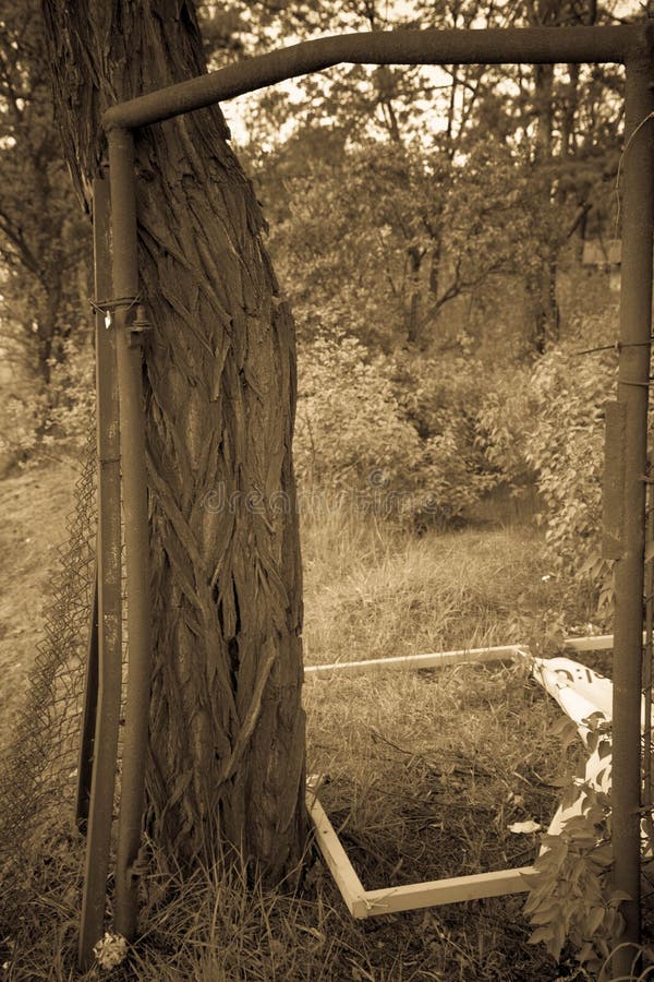 Gate Damaged by the Venetian Waters, Venice, Italy Stock Photo - Image ...