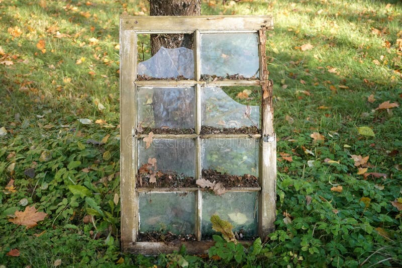 Old Damaged Window Frame Near the Apple Tree in the Garden during ...