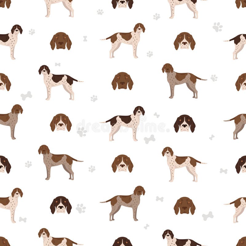 Old Danish Pointer Seamless Pattern. Different Poses, Coat Colors Set ...