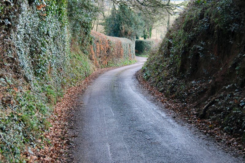 Narrow country lane road stock photo. Image of hedge - 29883152