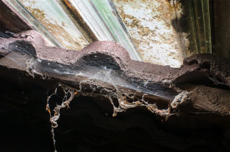 Old Decaying Spider`s Web Under the Window Stock Photo - Image of ...