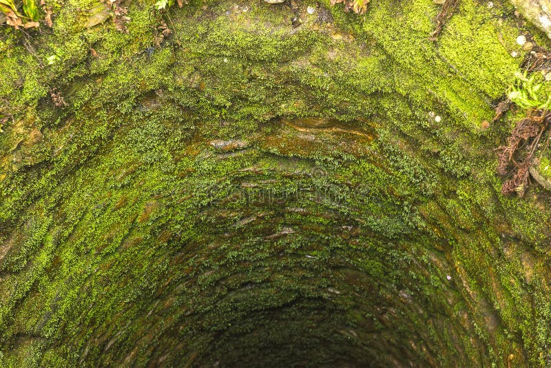 Old deep well with moss stock photo. Image of hole, forest - 92652396