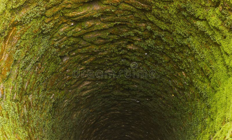 Old deep well with moss stock image. Image of cascade - 97843163