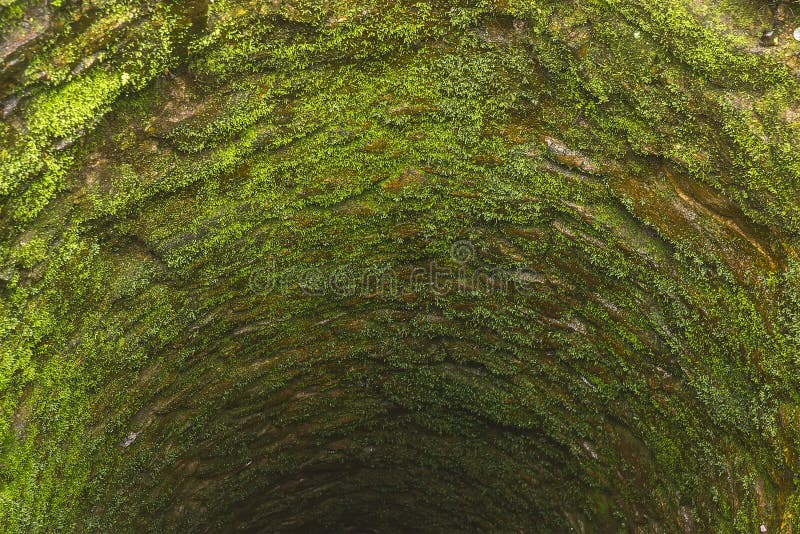 Old deep well with moss stock image. Image of abstract - 97843265