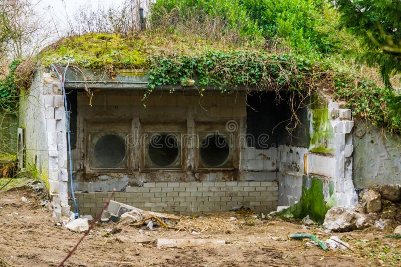 Old Demolished Building with the Roof Covered in Grass and Plants Stock ...