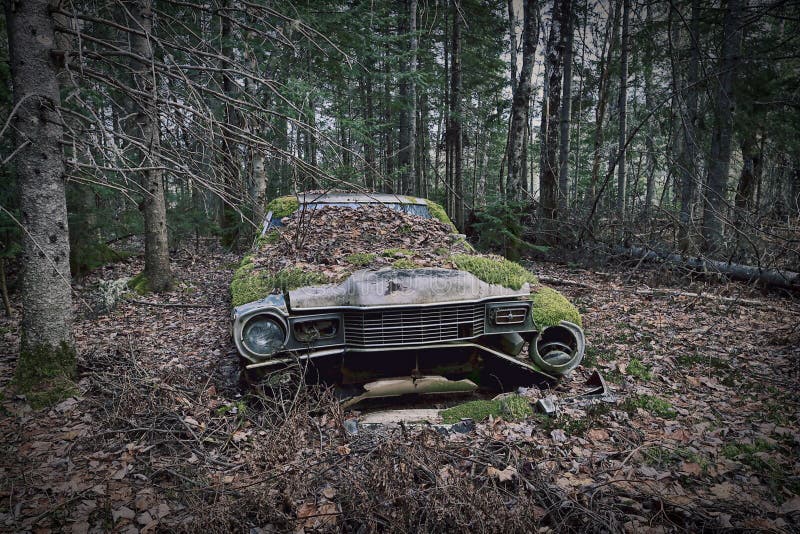Old, Derelict Car in the Forest Stock Photo - Image of grunge ...
