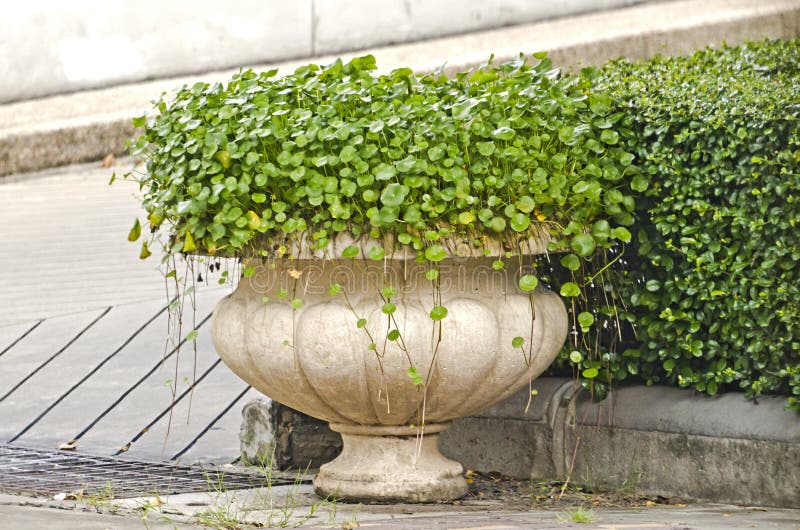 Old design pots. stock photo. Image of pots, spring, design - 61110822