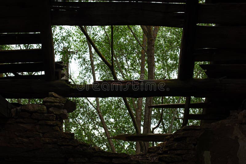 Old destroyed building stock image. Image of empty, forest - 98087473