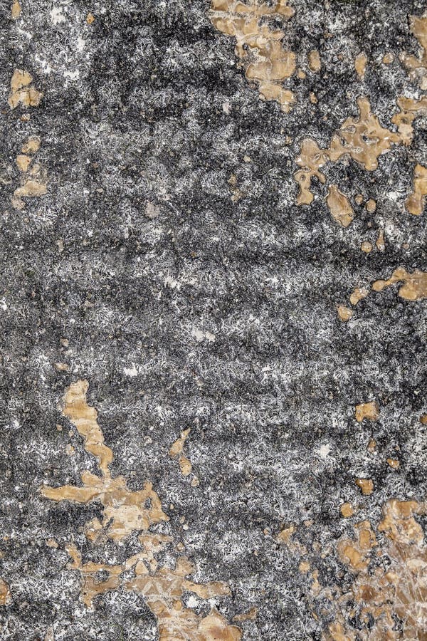 Very Dirty Carpet Stock Photos - Free & Royalty-Free Stock Photos from ...