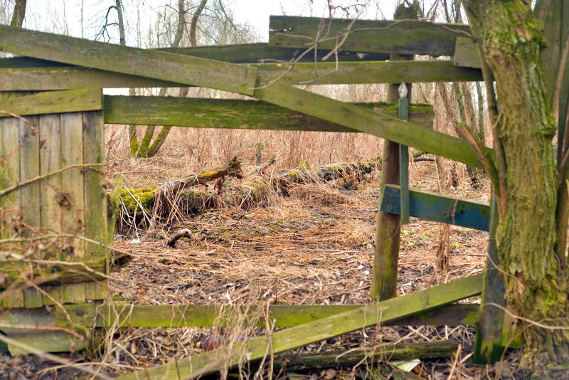 Old destroyed fence. stock image. Image of closeup, natural - 104898453