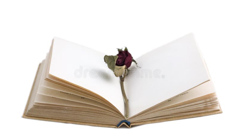 Open Old Diary or Notebook. Stock Photo - Image of ancient, medieval ... Open Old Diary or Notebook. Stock Photo - Image of ancient, medieval ...