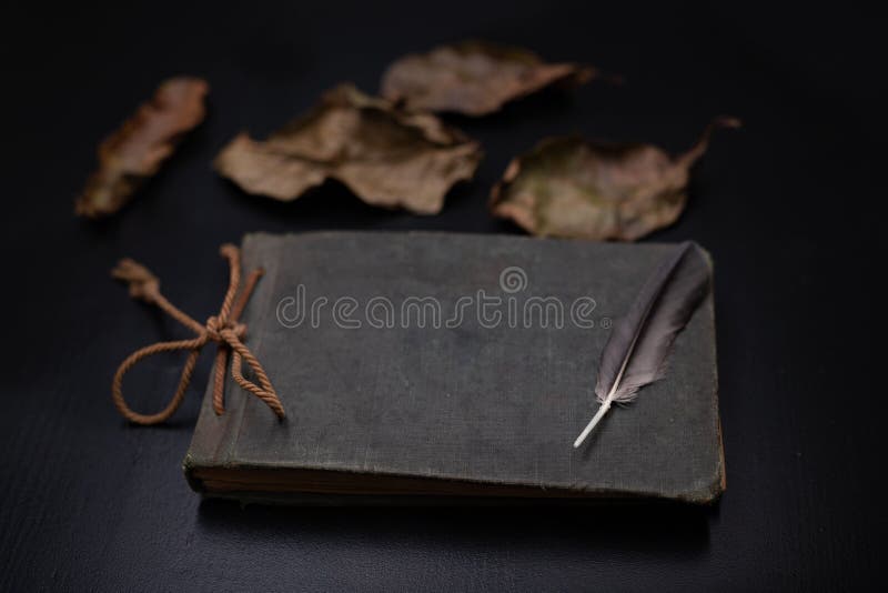 An Old Diary with Stained Pages and a Small Bird& X27;s Feather ...