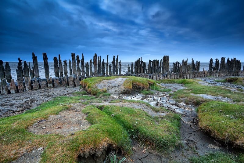 Old and Texture at Low Tide Stock Photo - Image of countryside, holland ...