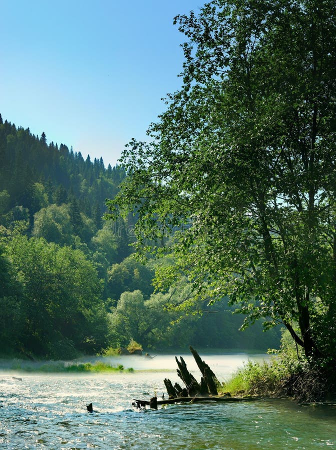 Old Dilapidated Dam in River, Which Flows Along the Woodland Stock ...