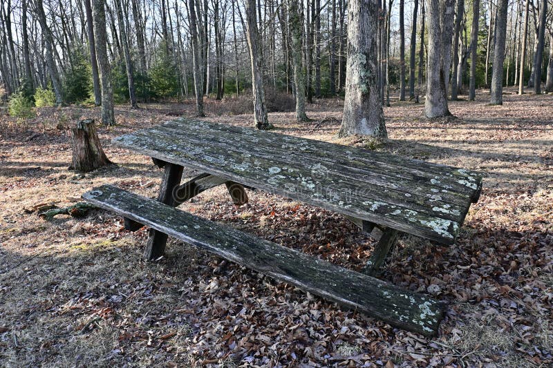 Old and Dilapidated Decaying Picnic Table in Forest Stock Photo - Image ...