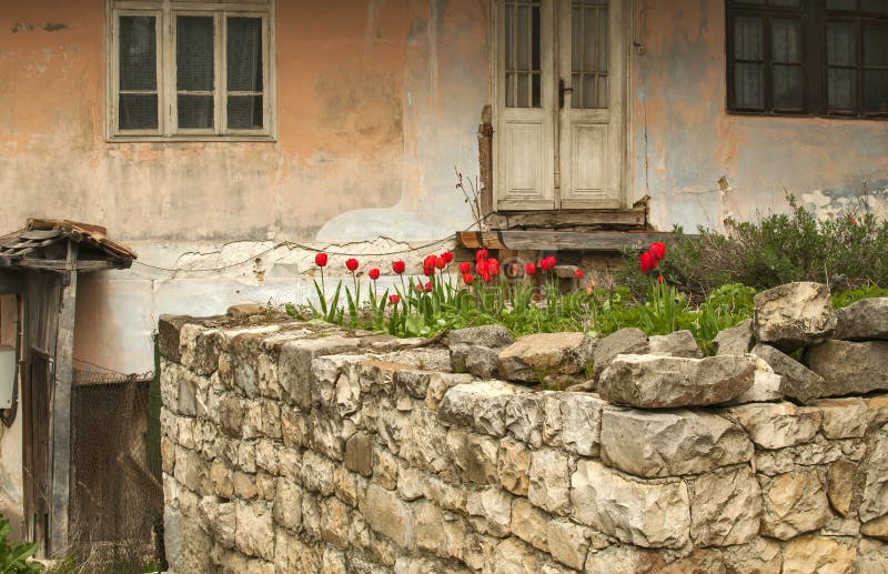 Old Dilapidated Rustic House Stock Photo - Image of plant, dilapidate ...