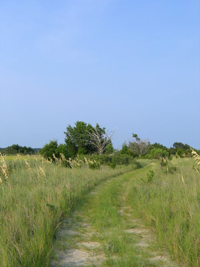 Old dirt path stock image. Image of marsh, getaway, water - 2991019