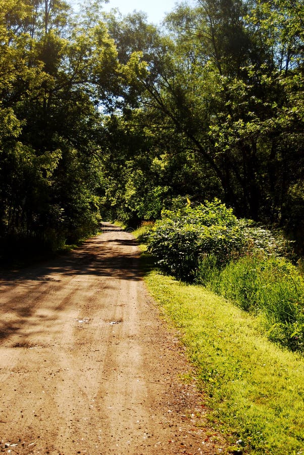 Old Dirt Road stock photo. Image of tree, forest, road - 5985426