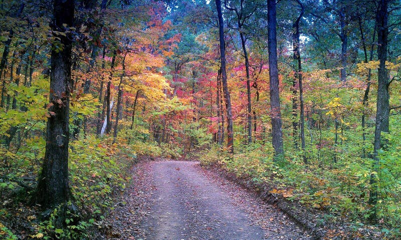 Old dirt road stock image. Image of road, beautiful, colors - 77916723