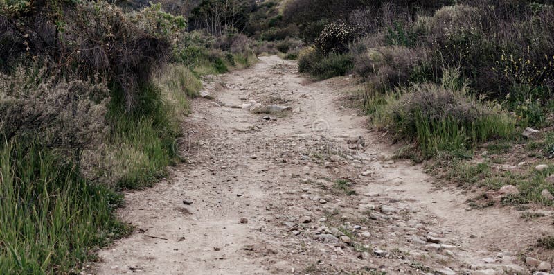 Old dirt road in forest stock image. Image of valley - 88610801