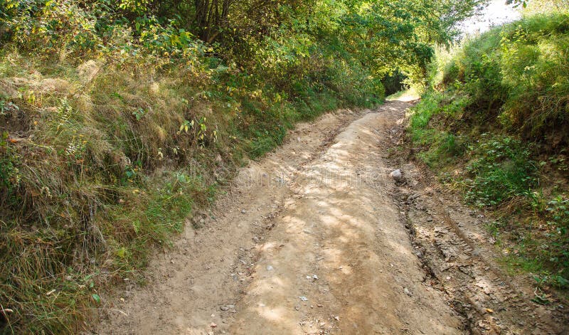 Old Dirt Road in the Forest Stock Image - Image of natural, leaf: 174653509