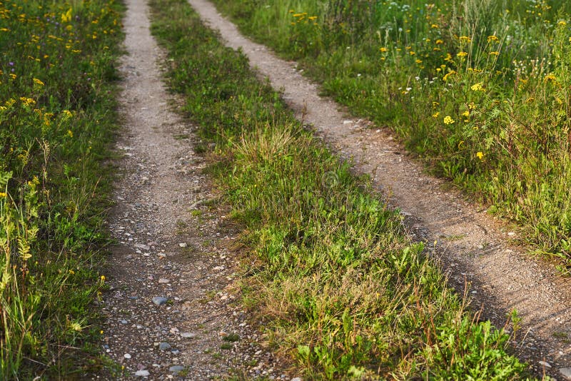 Old Dirt Road in the Middle of a Field on a Sunny Day Stock Image ...