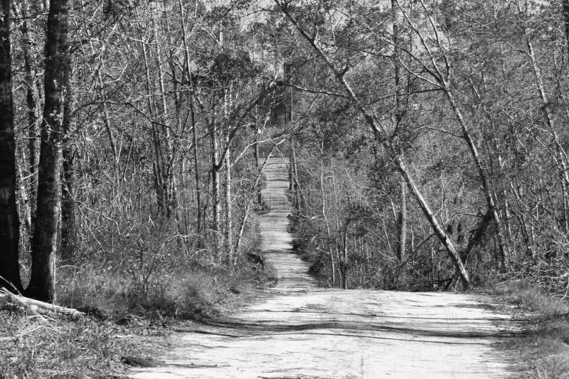Old dirt road stock photo. Image of trees, road, nature - 136546914