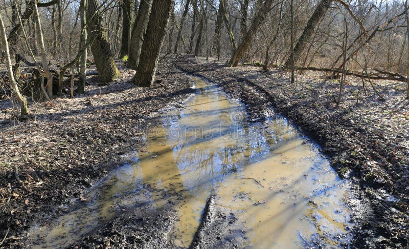 Old dirt road in forest stock image. Image of path, season - 140992283