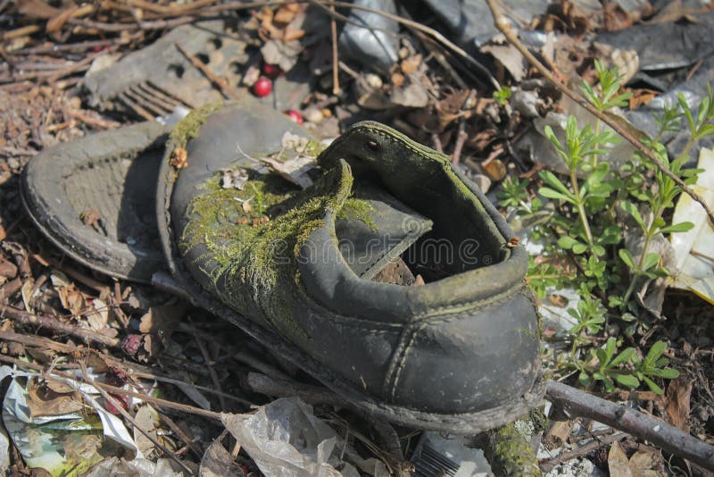 Old Dirty Boot Overgrown with a Moss and Fungus Stock Image - Image of ...