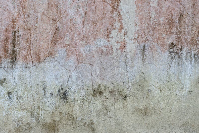 Old Dirty Cement Plaster Wall Surface with Dried Moss Texture Stock ...