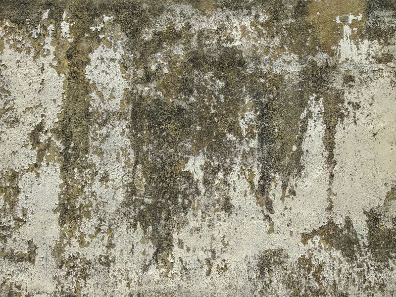 Old and Dirty Cement Wall Texture Background Stock Image - Image of ...