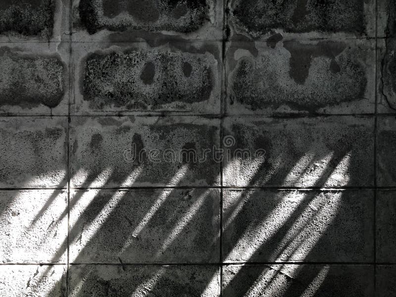 Old and Dirty Concrete Fence with Sunlight and Shadow on it Stock Photo ...
