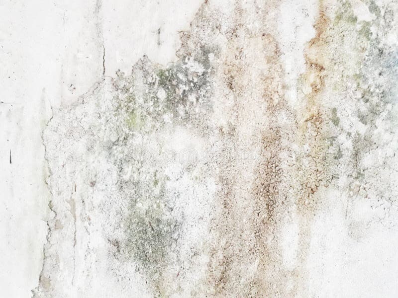 Old Dirty Gray Wall for Background and Wallpaper or Surface Design ...