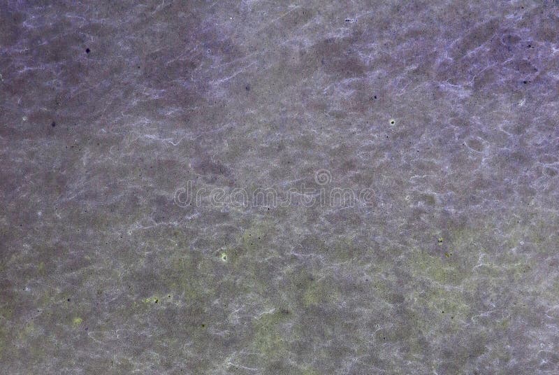 492 Old Linoleum Texture Stock Photos - Free & Royalty-Free Stock ...